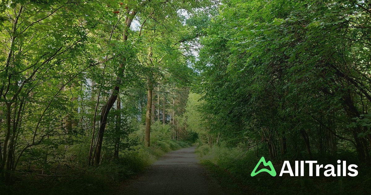Plage du Lac de Bambois - hikes and trails to get you there | AllTrails