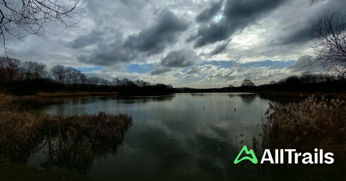 Main Pond - hikes and trails to get you there | AllTrails