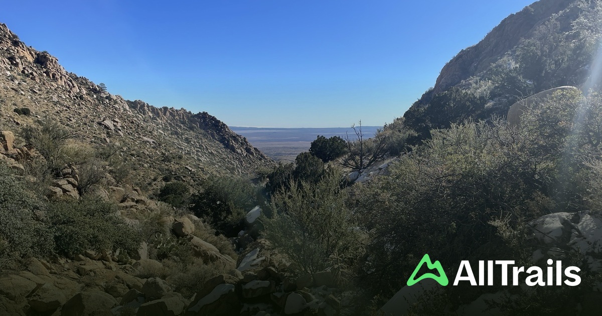 Ladrón Peak - hikes and trails to get you there | AllTrails