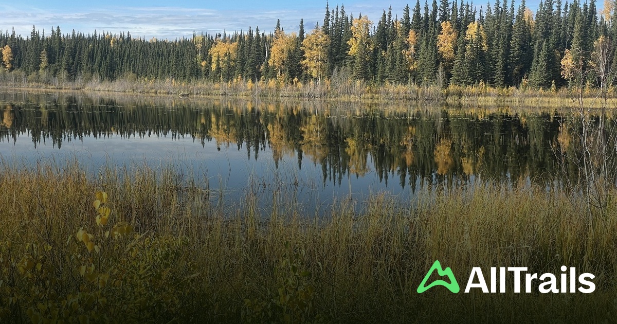Lisa Lake - hikes and trails to get you there | AllTrails