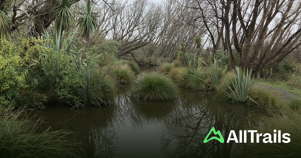 Viewing Platform - hikes and trails to get you there | AllTrails