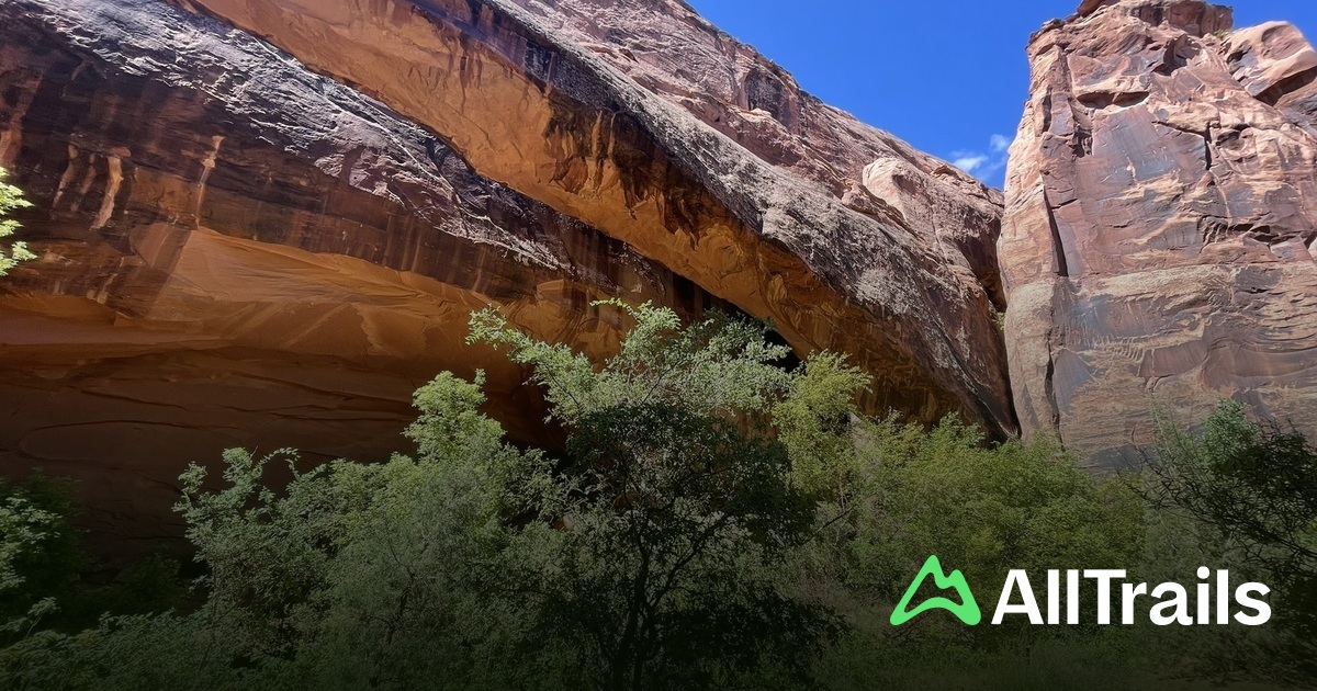 Morning Glory Bridge - hikes and trails to get you there | AllTrails