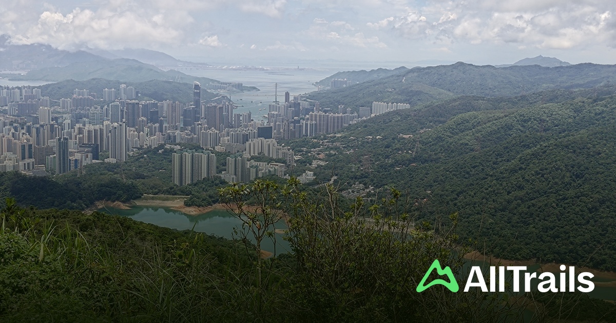 Bedste ruter i nærheden af 四方山 Sze Fong Shan | AllTrails