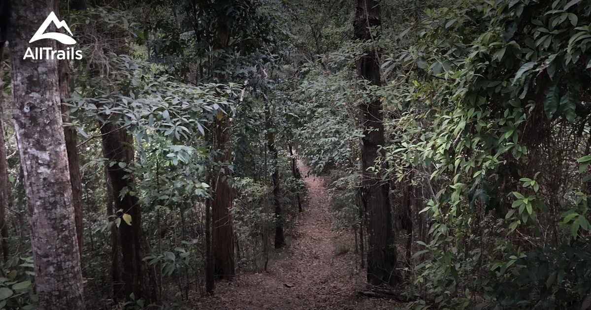 Boiboi Peak - hikes and trails to get you there | AllTrails