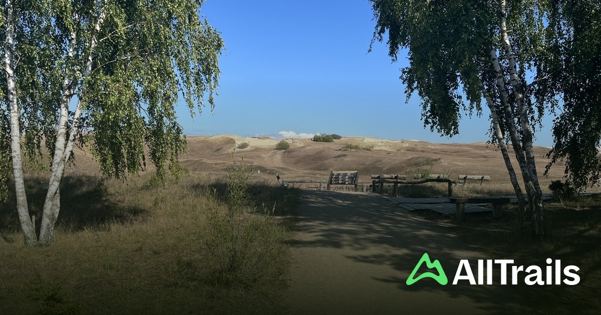 Negyvosios kopos - hikes and trails to get you there | AllTrails