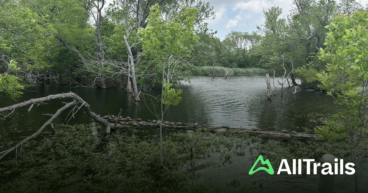 Trail Info - hikes and trails to get you there | AllTrails