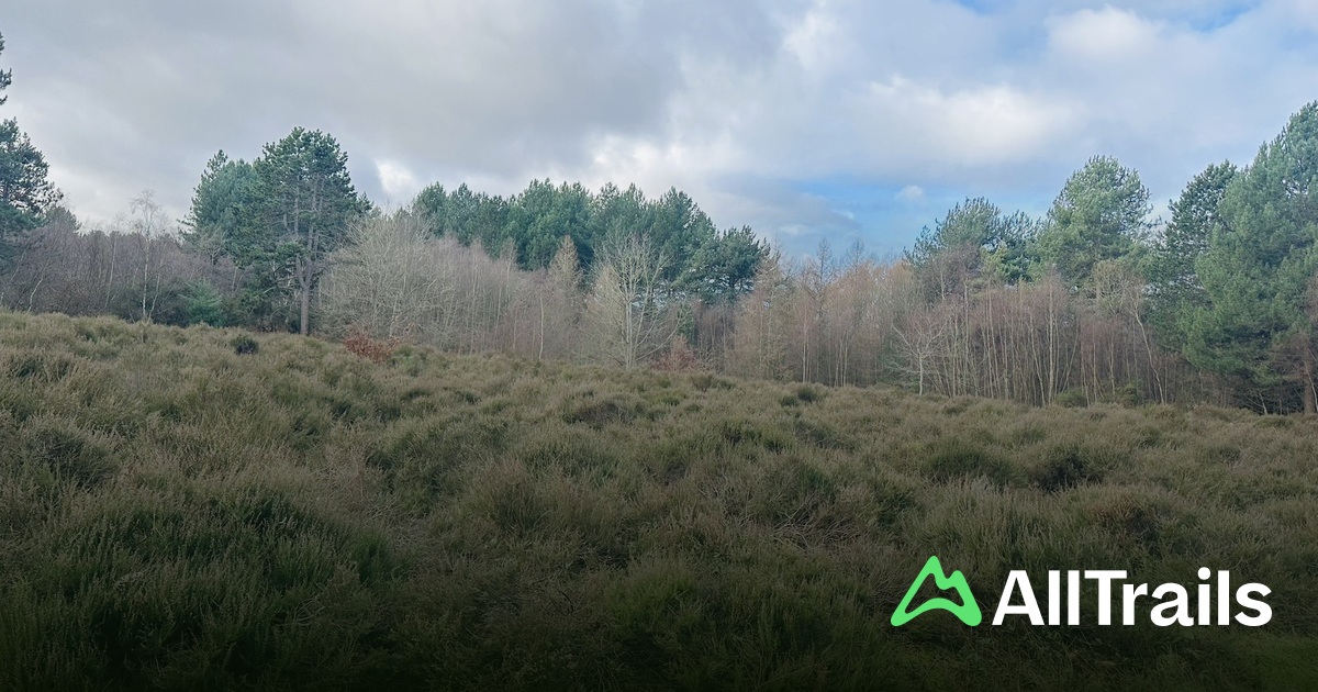 Historic Border - hikes and trails to get you there | AllTrails