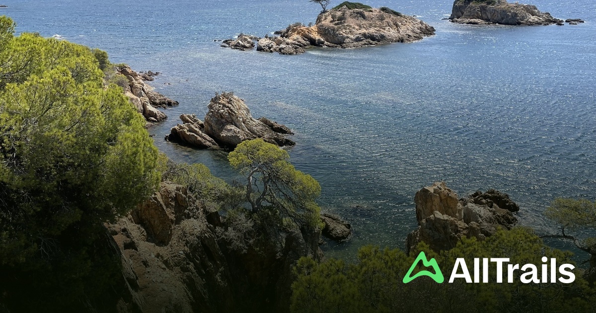 Château de Bregançon – najlepsze szlaki w pobliżu | AllTrails