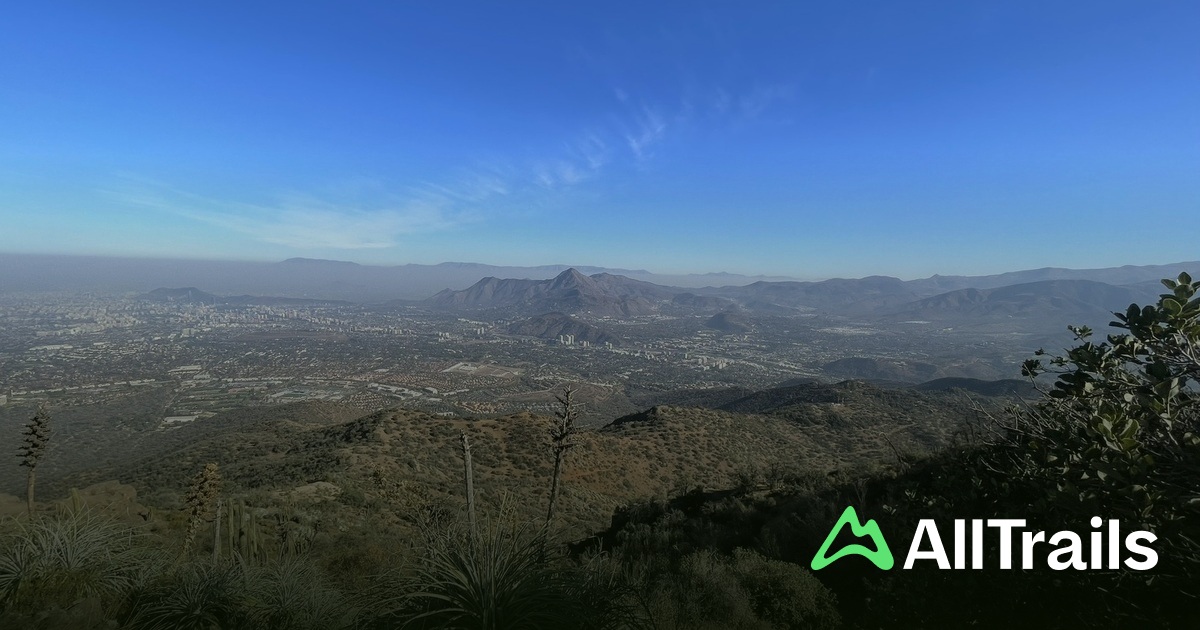Mirador del Guayacán - hikes and trails to get you there | AllTrails