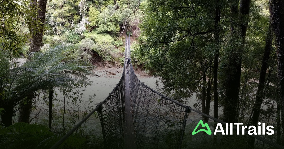 Koranga Forks Hut - hikes and trails to get you there | AllTrails