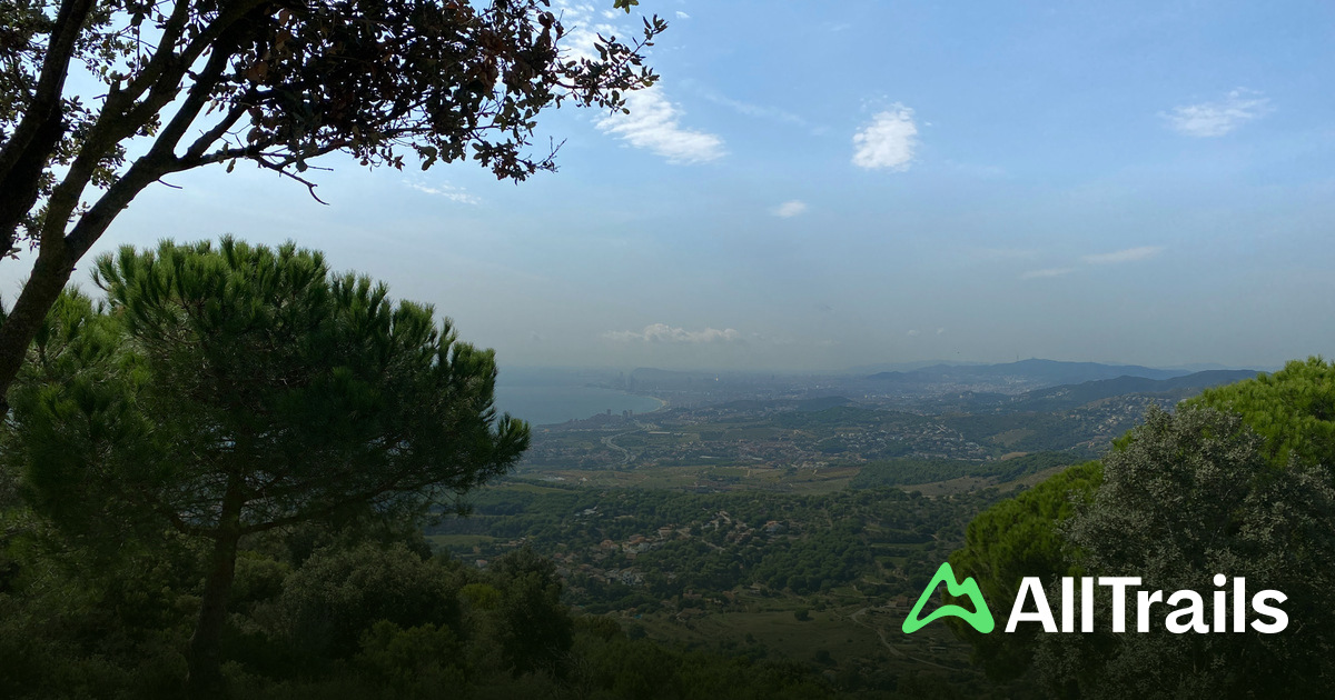 Turó d'en Lloberes – najlepsze szlaki w pobliżu | AllTrails