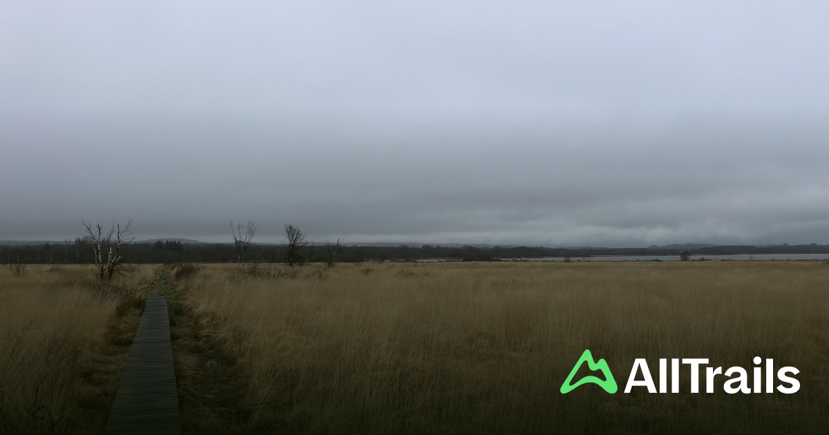 L'Éllez : les meilleures randonnées | AllTrails