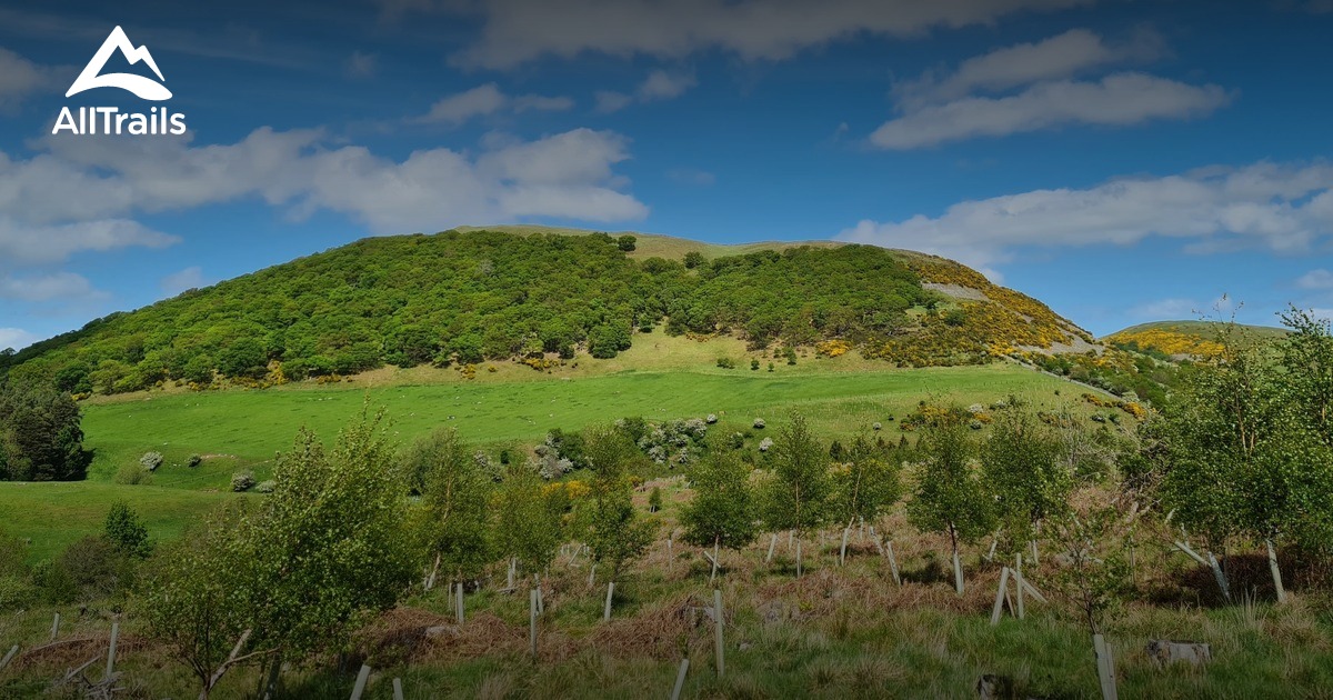 Melhores trilhos perto de Tom Tallon's Crag | AllTrails