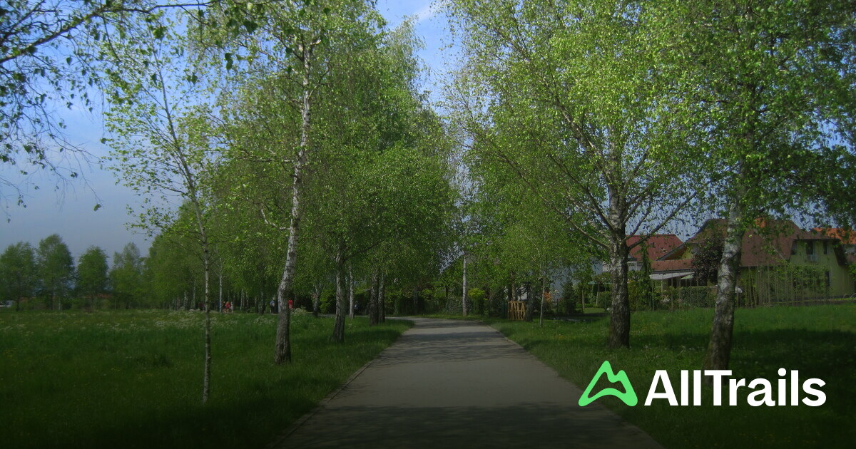 Črni hrib - hikes and trails to get you there | AllTrails