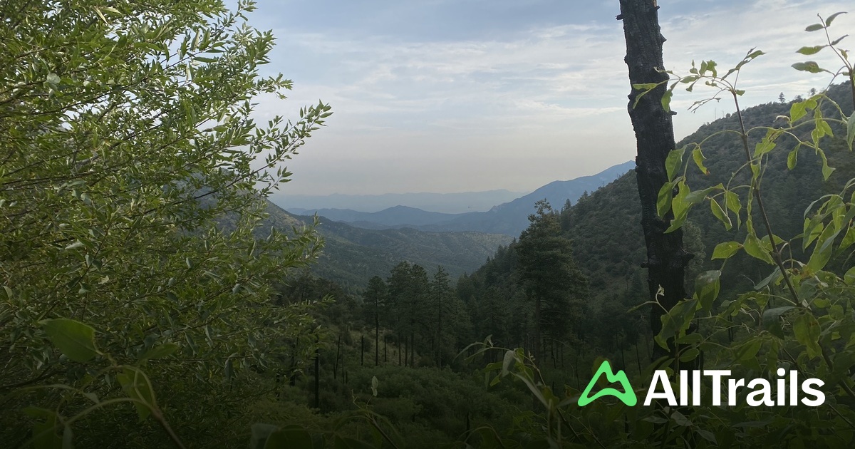 Winn Falls Viewpoint - hikes and trails to get you there | AllTrails