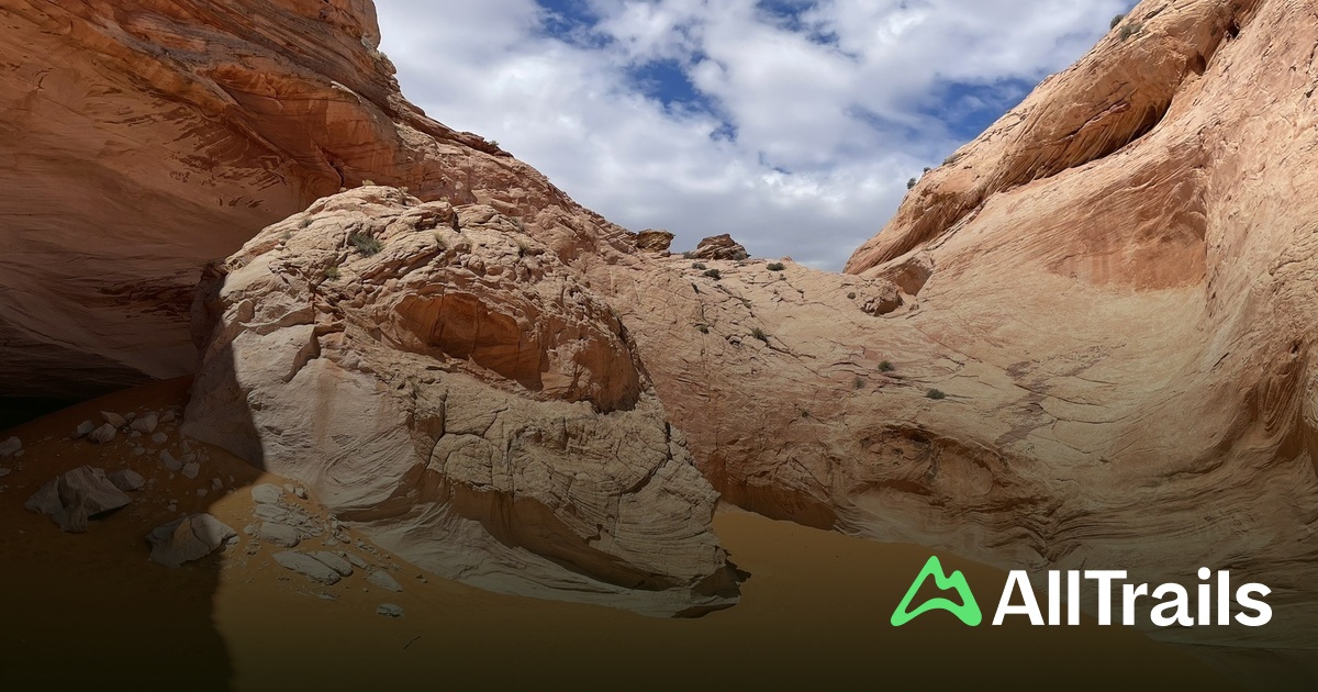 Cosmic Ashtray - hikes and trails to get you there | AllTrails