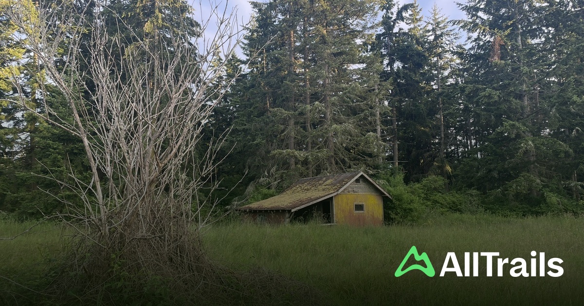 Four Springs Lake - hikes and trails to get you there | AllTrails