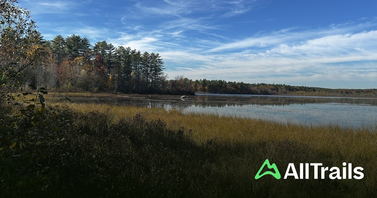 Los mejores senderos cerca de Turkey Pond | AllTrails