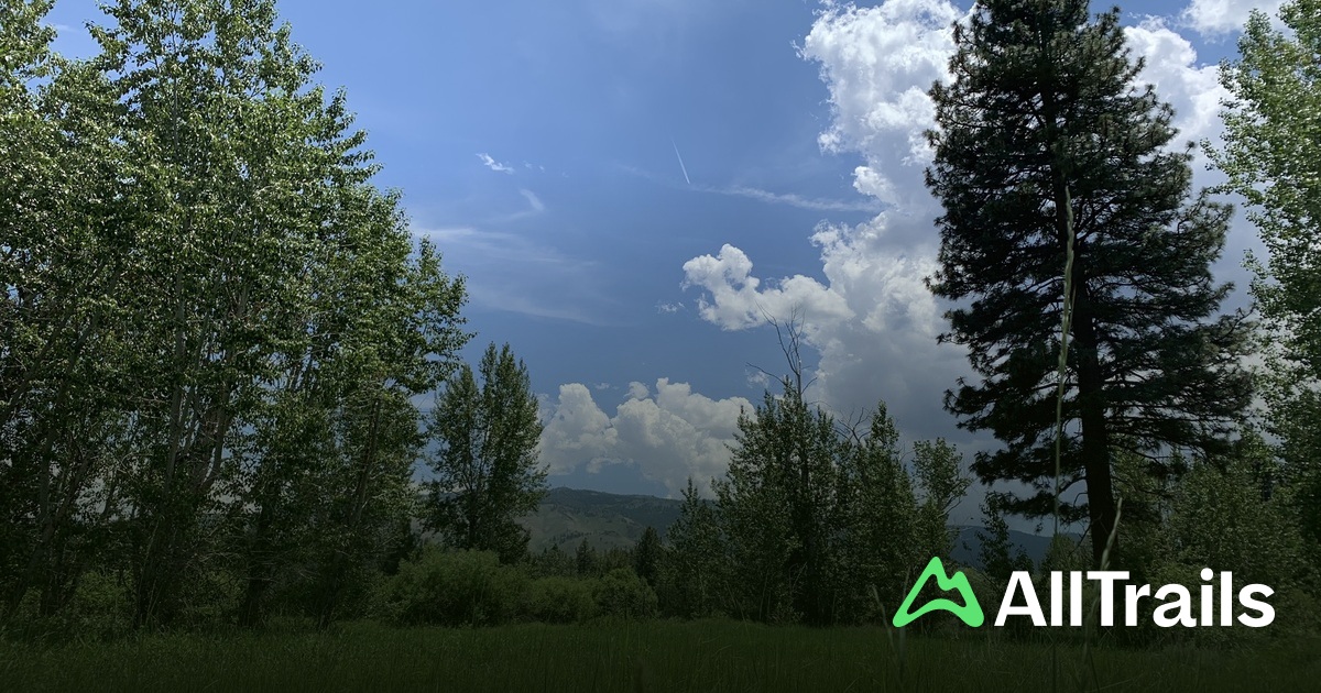 Verdi Pond - hikes and trails to get you there | AllTrails