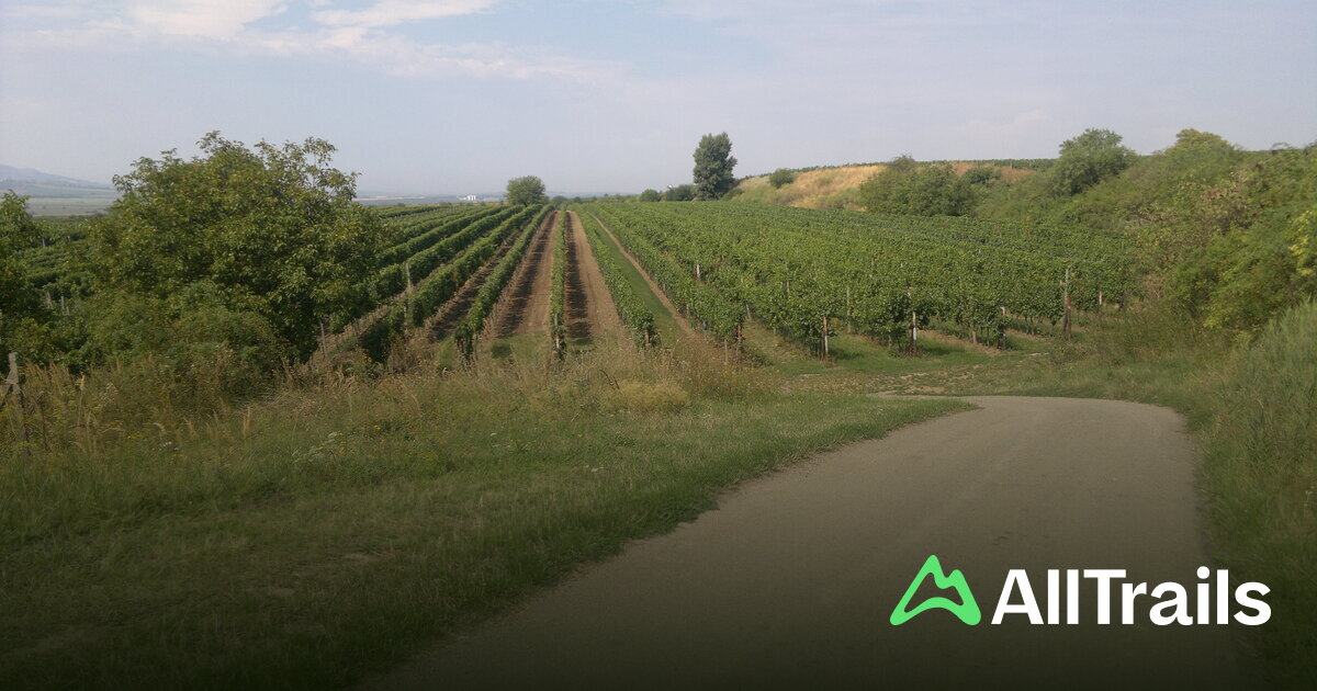 Best trails near Rozhledna Kraví Hora | AllTrails