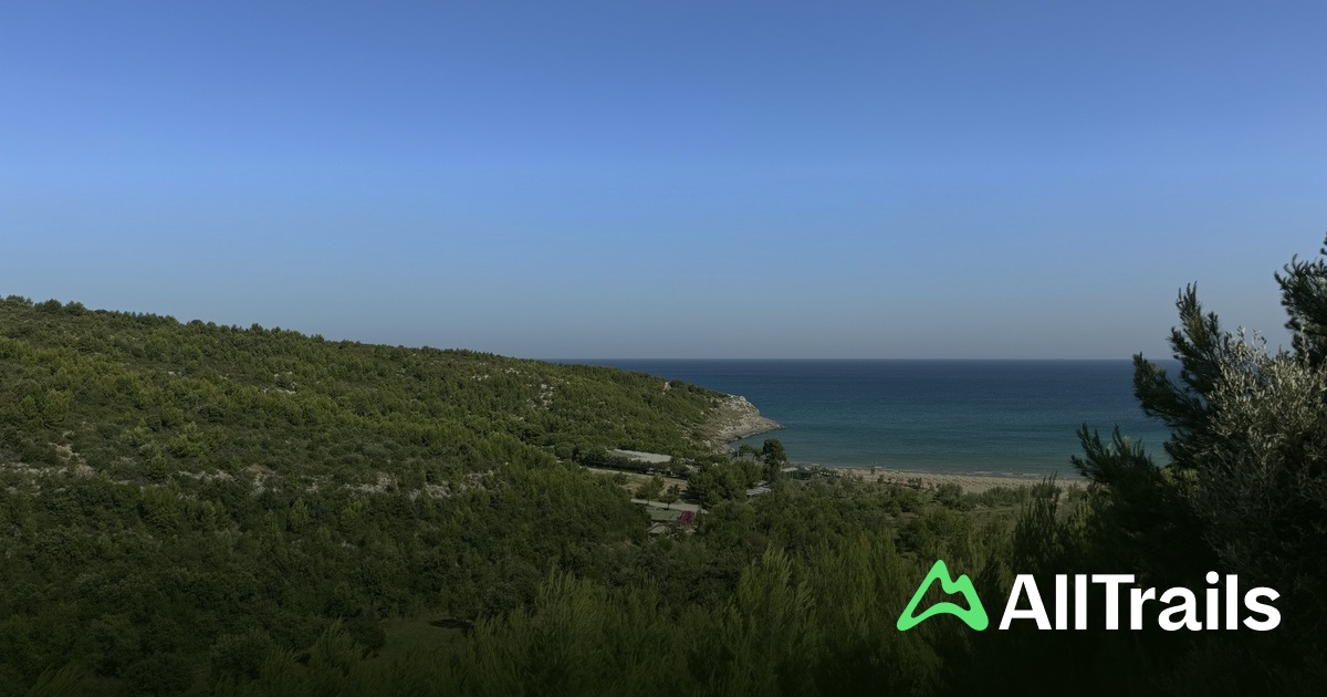 Campeggio Spiaggia Lunga : les meilleures randonnées | AllTrails