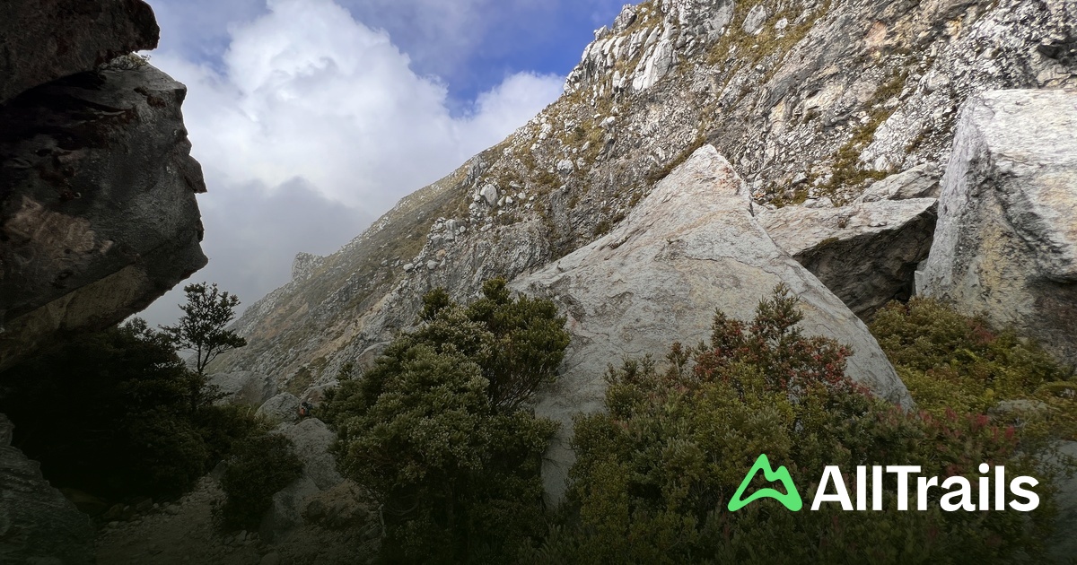 Tinikaran Camp 2 - hikes and trails to get you there | AllTrails