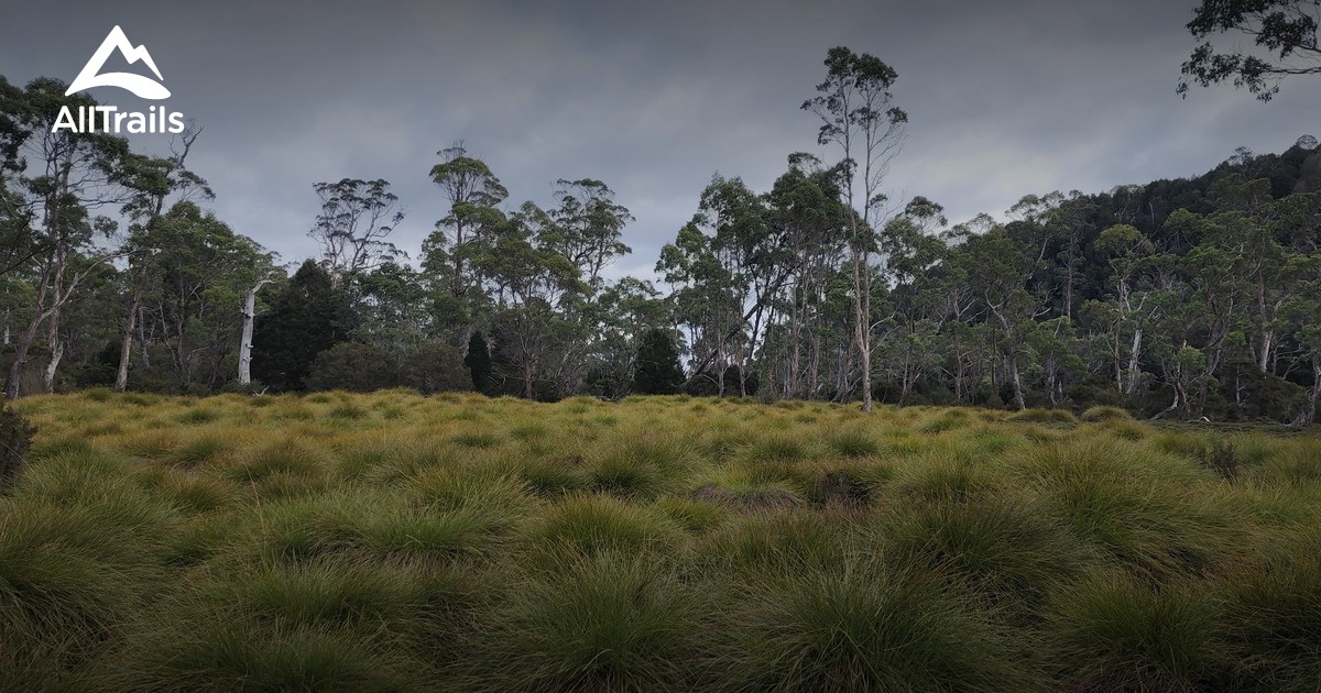 Pencil Pine Falls - hikes and trails to get you there | AllTrails
