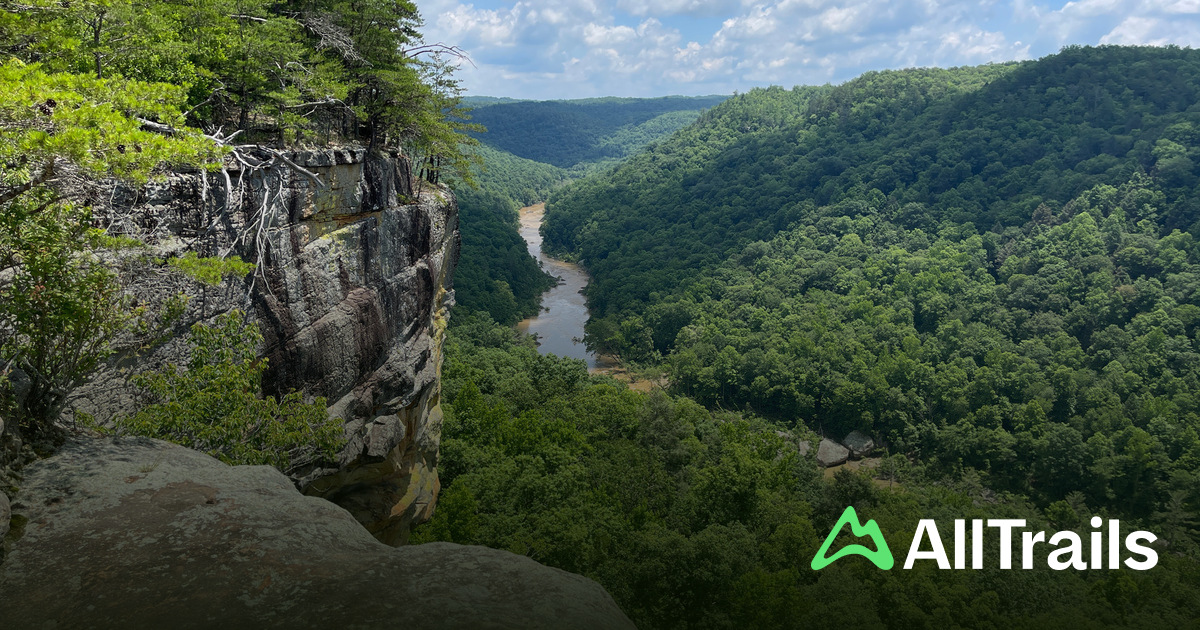 Angel Falls Overlook - hikes and trails to get you there | AllTrails