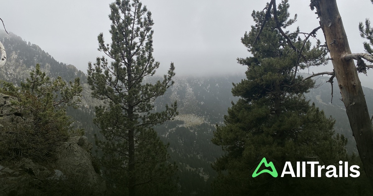 Font de Moró: Die besten Routen in der Umgebung | AllTrails