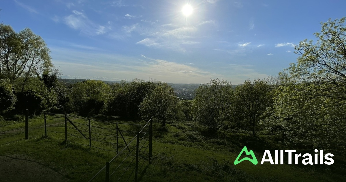 Ralph Allen’s Sham Castle - hikes and trails to get you there | AllTrails