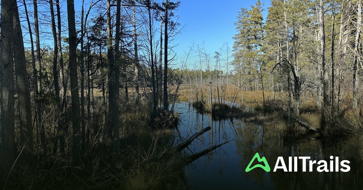 Pakim Pond Day Use Area - hikes and trails to get you there | AllTrails