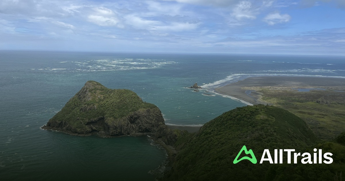Manukau Harbour - hikes and trails to get you there | AllTrails