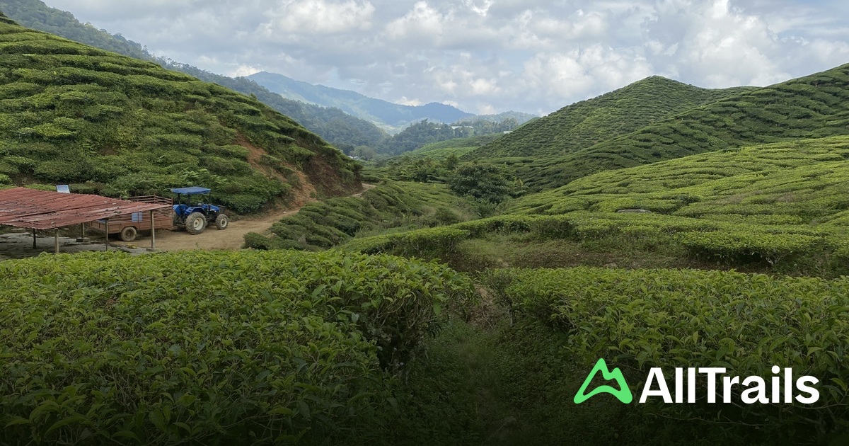 Gunung Jasar viewpoint - hikes and trails to get you there | AllTrails