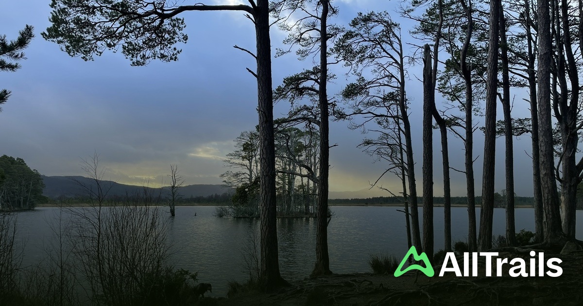 RSPB Osprey Centre: Die besten Routen in der Umgebung | AllTrails