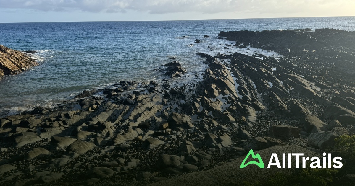 Red Rock Point : les meilleures randonnées | AllTrails