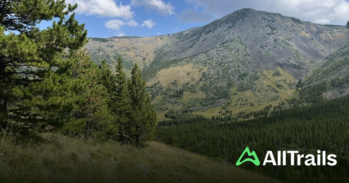Casey Peak - hikes and trails to get you there | AllTrails