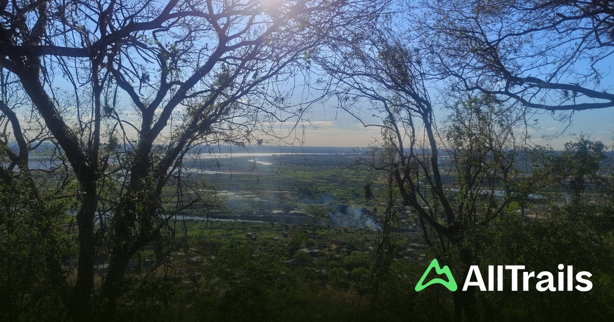 Cerro Lambaré - hikes and trails to get you there | AllTrails