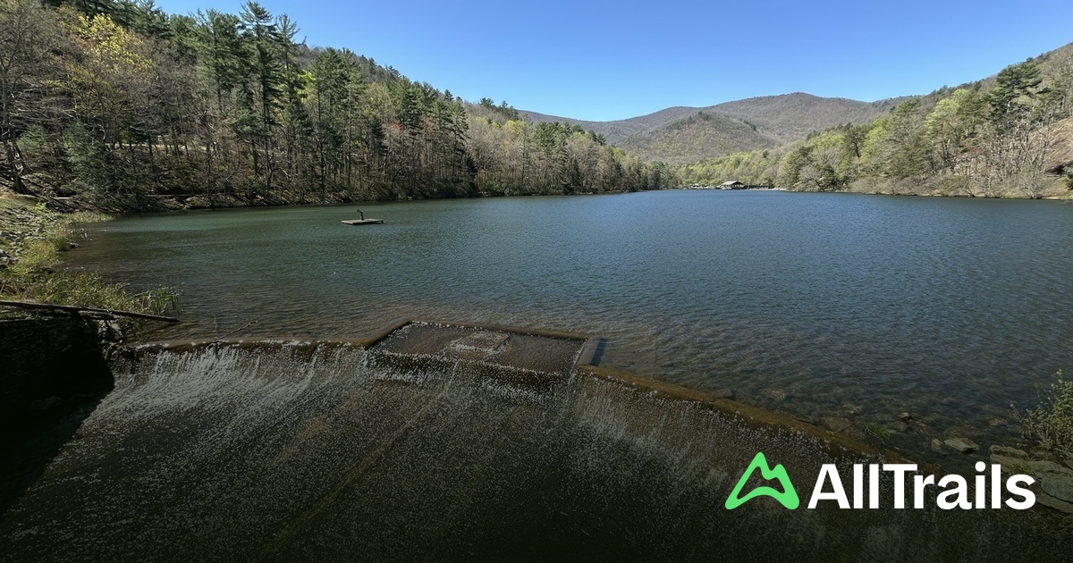 Vogel State Park Lake Dam - hikes and trails to get you there | AllTrails