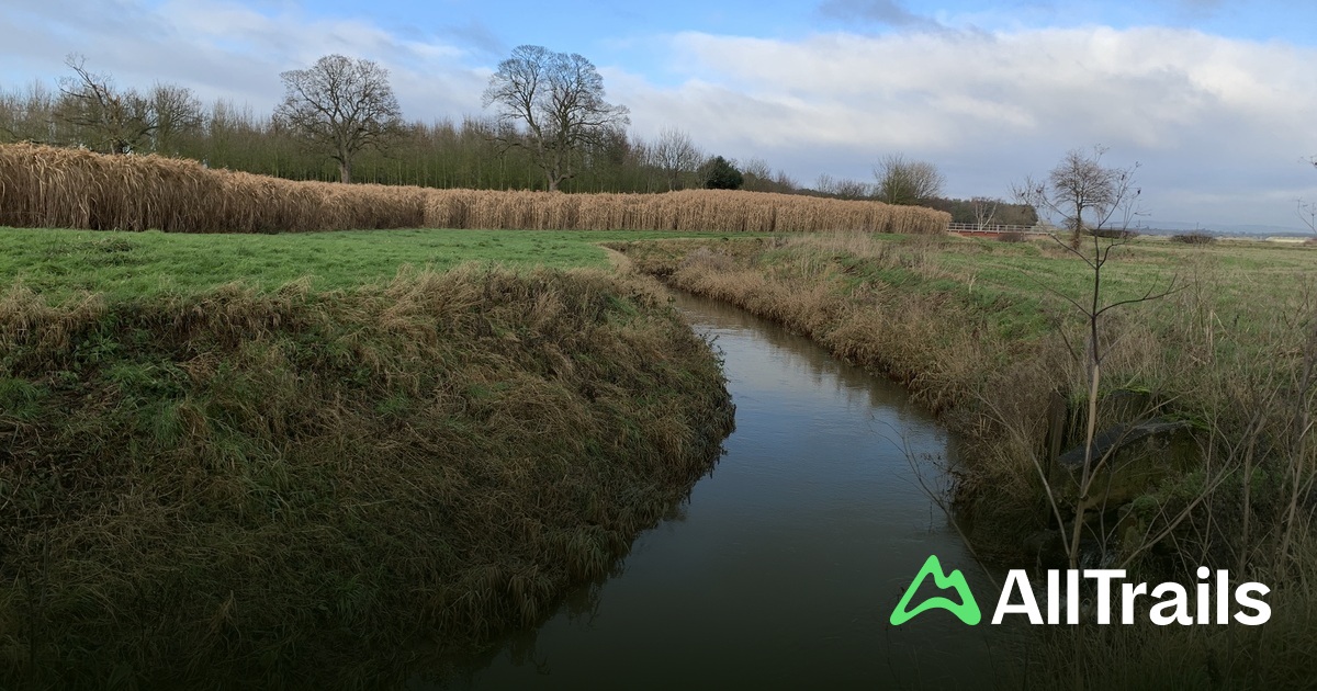 Yellowtop Country Park - hikes and trails to get you there | AllTrails
