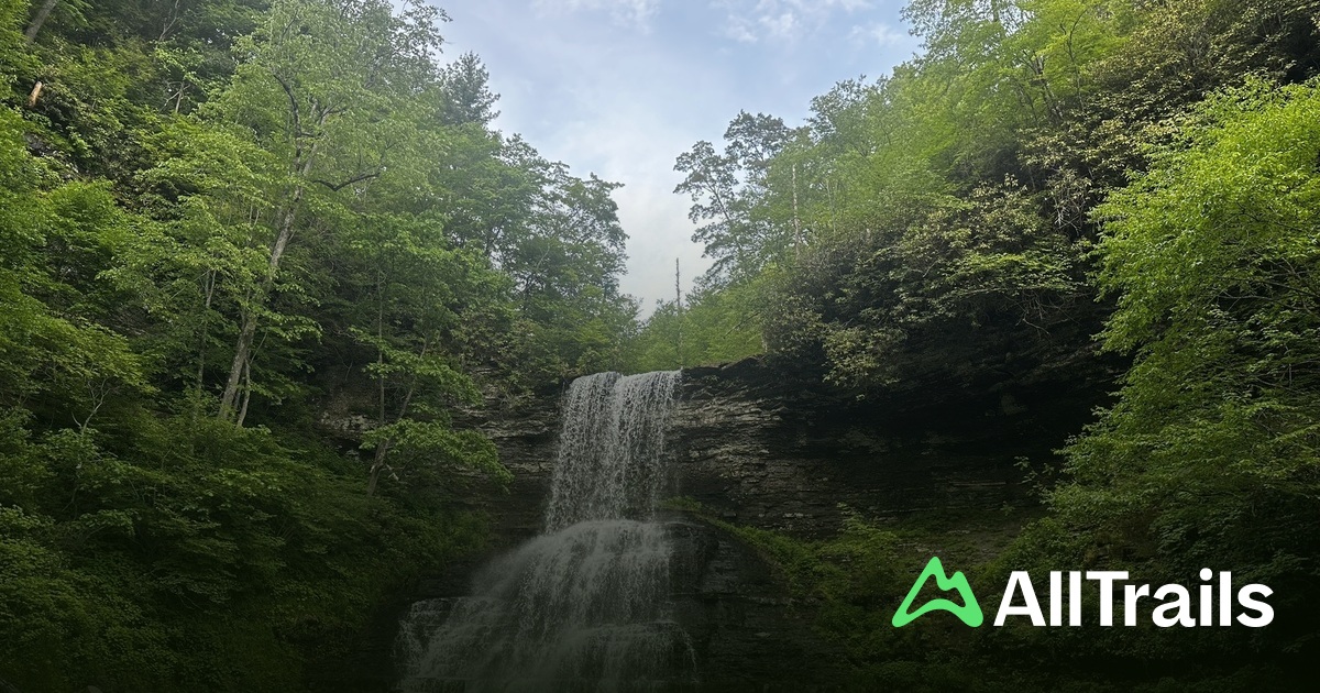 Barney's Wall Overlook - hikes and trails to get you there | AllTrails