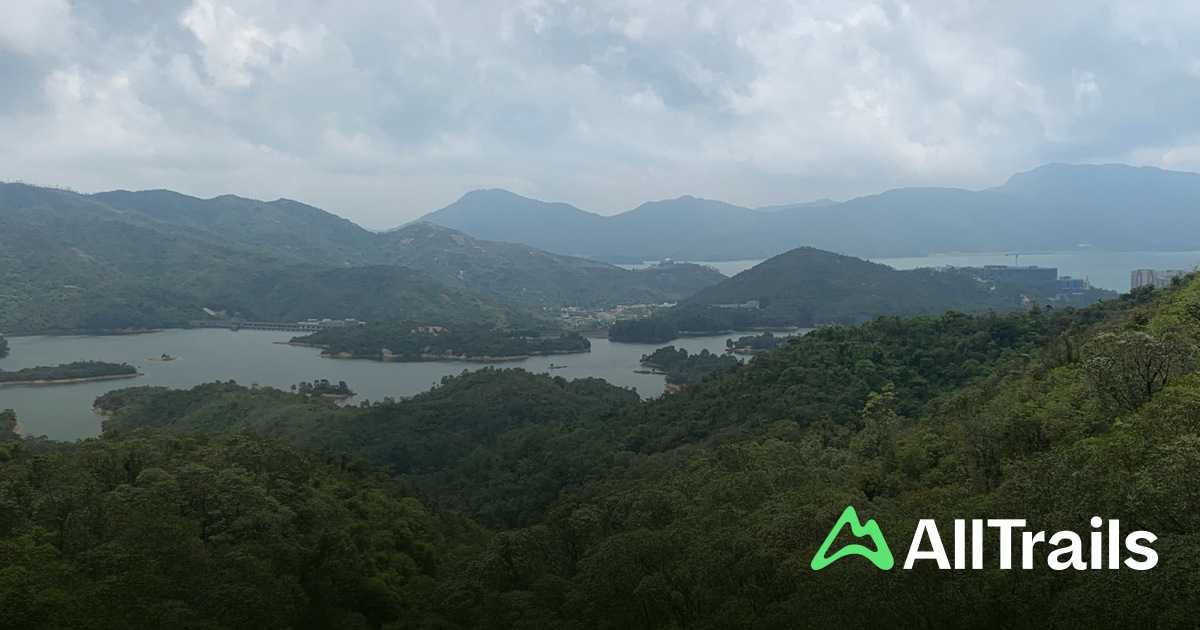 Tai Tong Valley - hikes and trails to get you there | AllTrails
