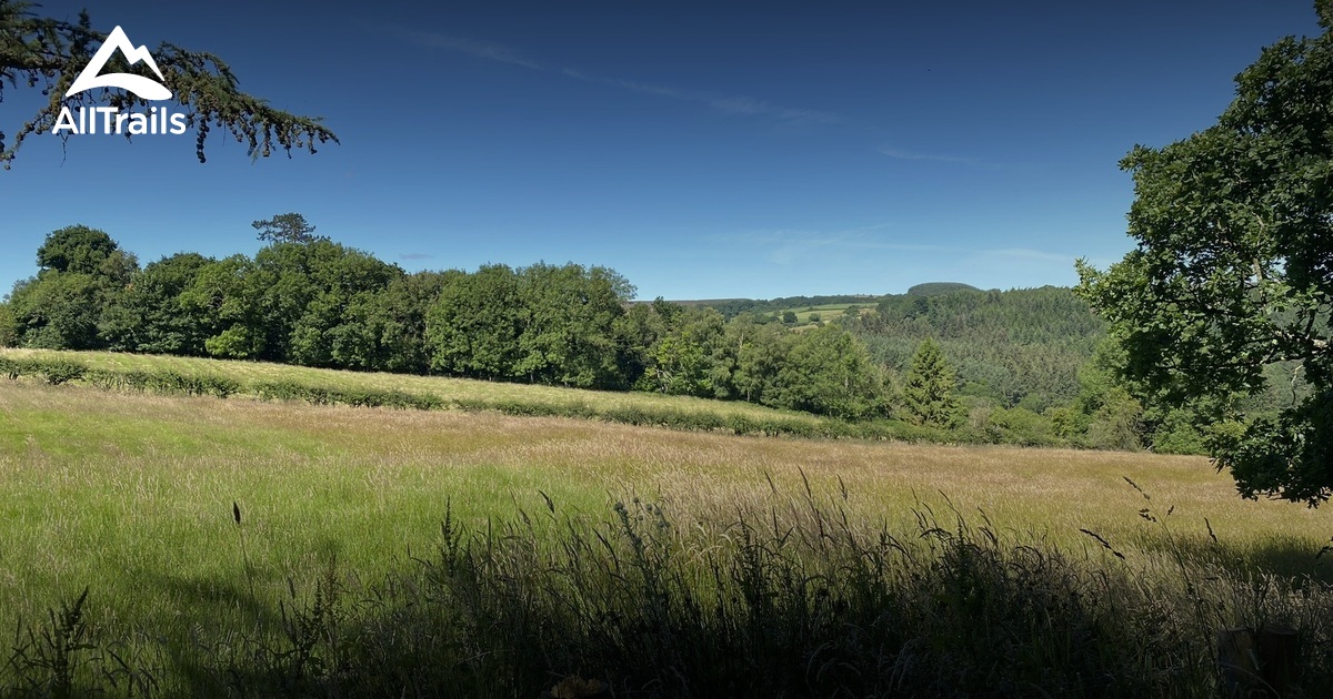 Thomason Foss - hikes and trails to get you there | AllTrails