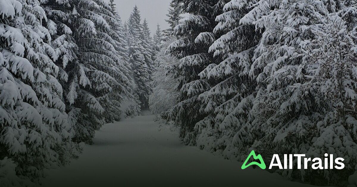 Cicha Równia - hikes and trails to get you there | AllTrails