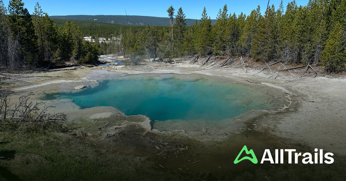 Cistern Spring - hikes and trails to get you there | AllTrails