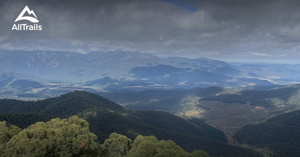 Mount Porepunkah - hikes and trails to get you there | AllTrails