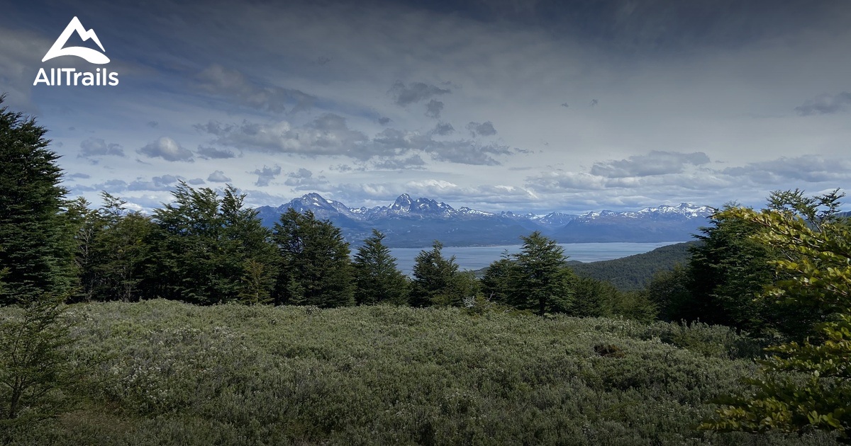 Cerro Pampa Alta - hikes and trails to get you there | AllTrails