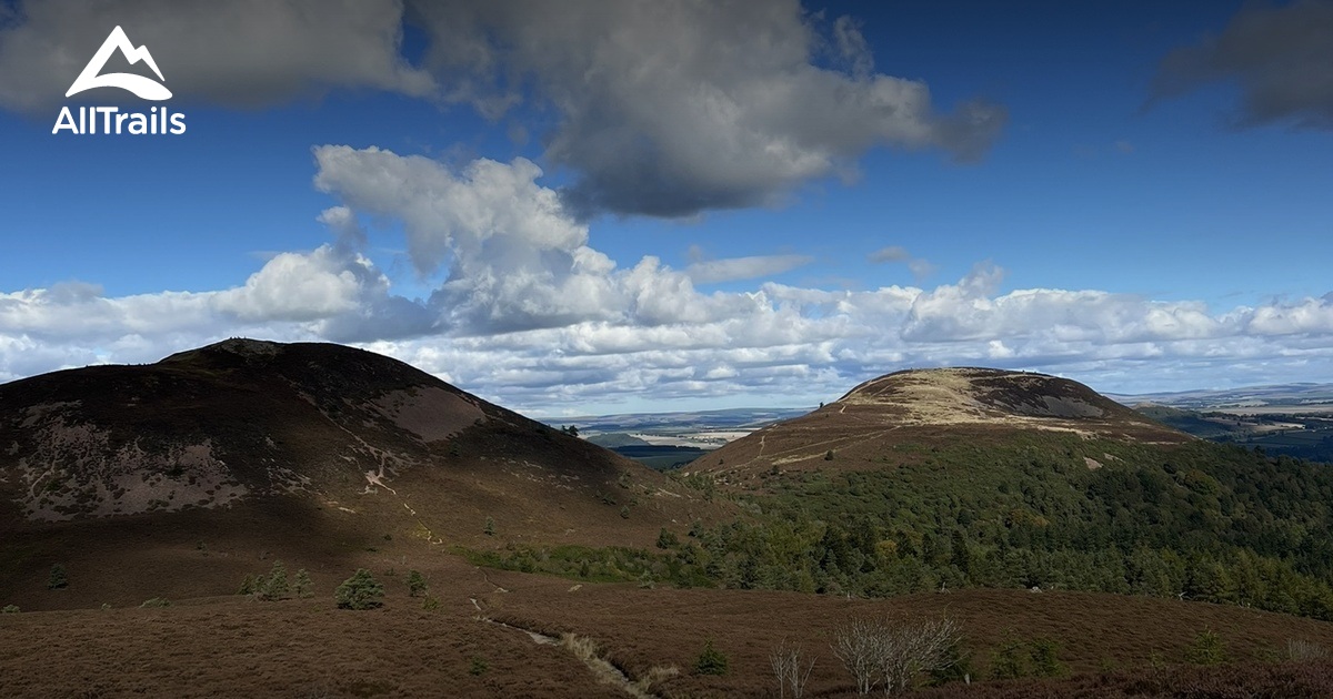 Eildon Wester Hill - hikes and trails to get you there | AllTrails