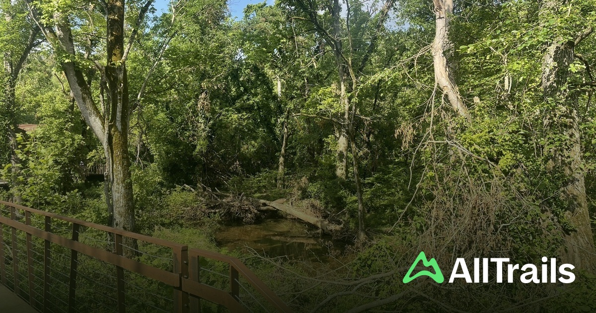 Jackson Lake - hikes and trails to get you there | AllTrails