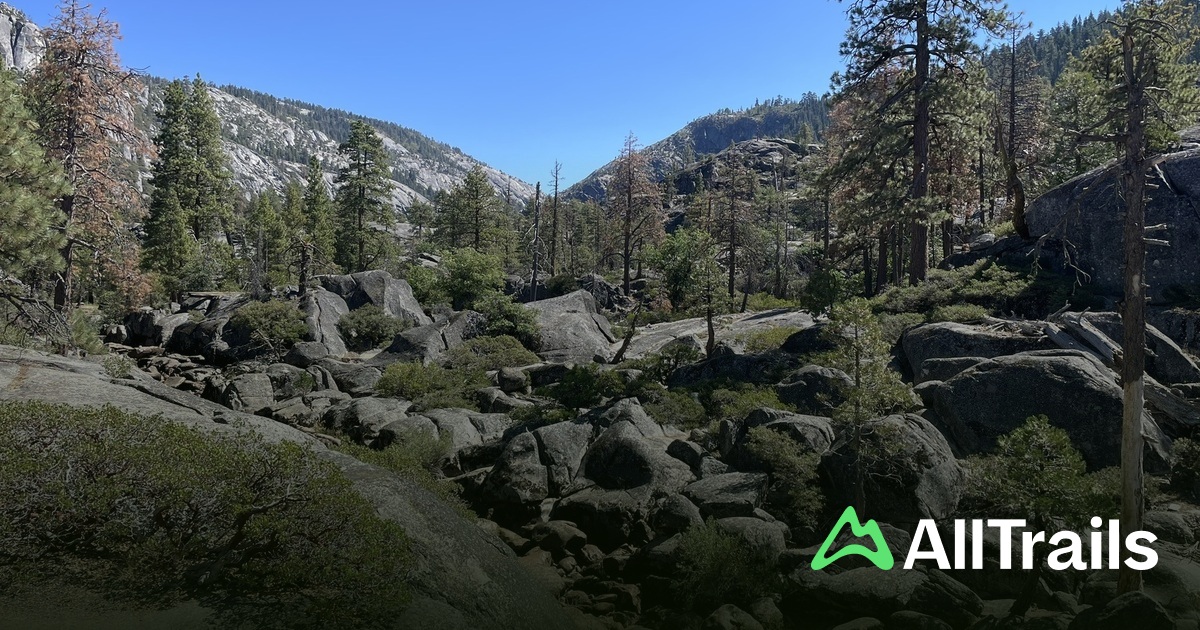Pinecrest Dog Beach - hikes and trails to get you there | AllTrails