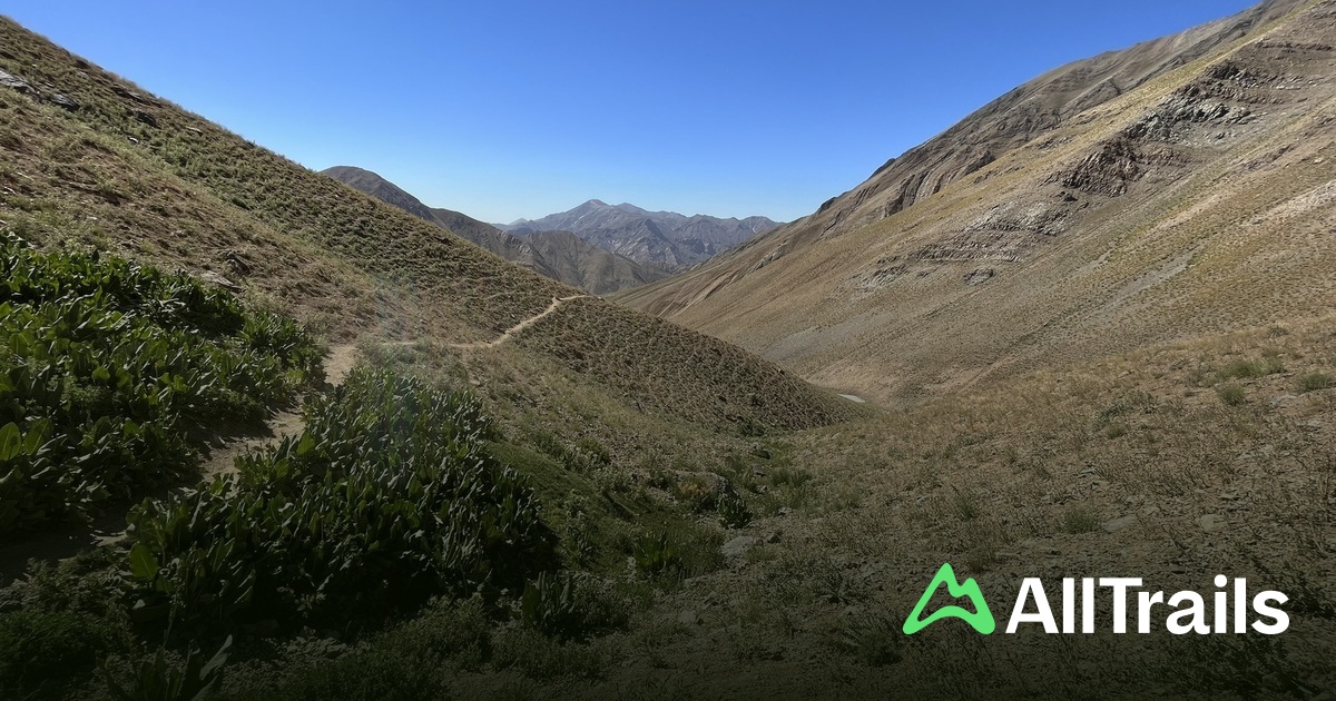 دره پلاک - hikes and trails to get you there | AllTrails